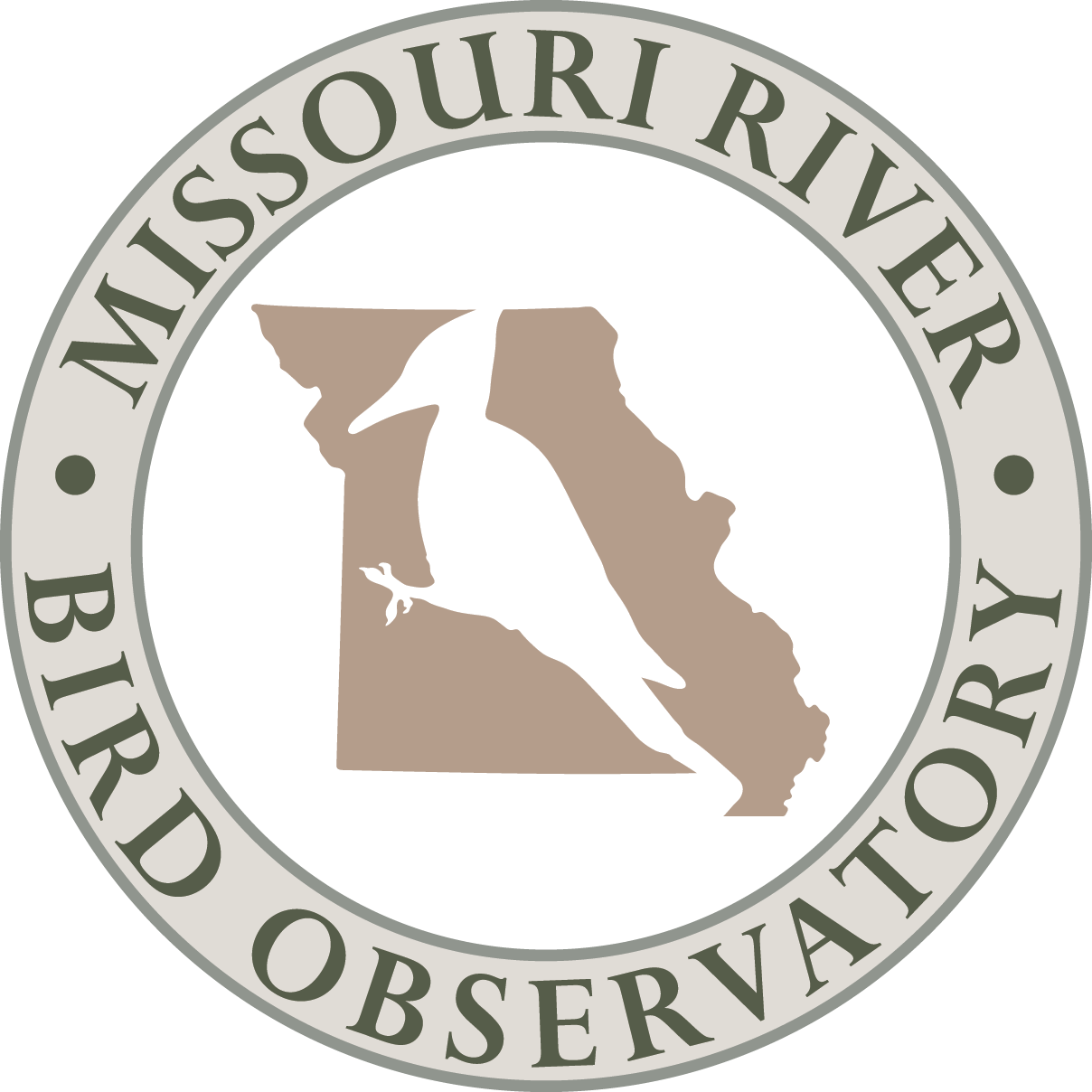 Raptor Conservation in the Ozarks | Ozark Bird Conservancy
